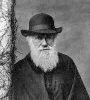 Court answers prayers of Darwin faithful | Another Think